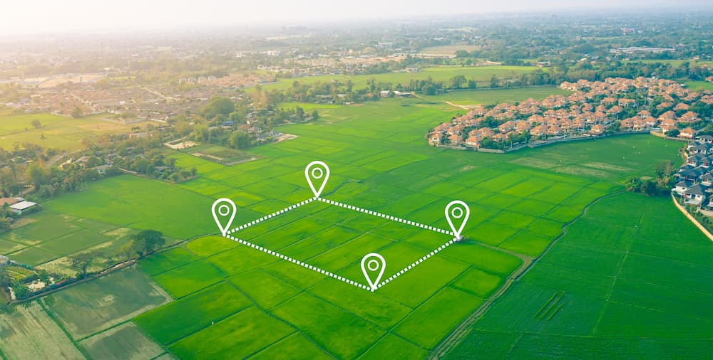 Limite de propriété : quelles sont les distances à respecter pour ...