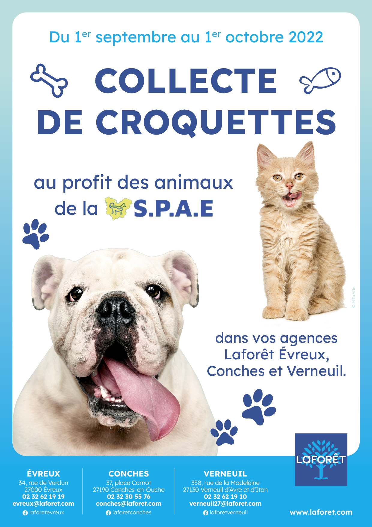 COLLECTE DE CROQUETTES - Actualités | Laforêt Verneuil d'Avre et d'Iton ...