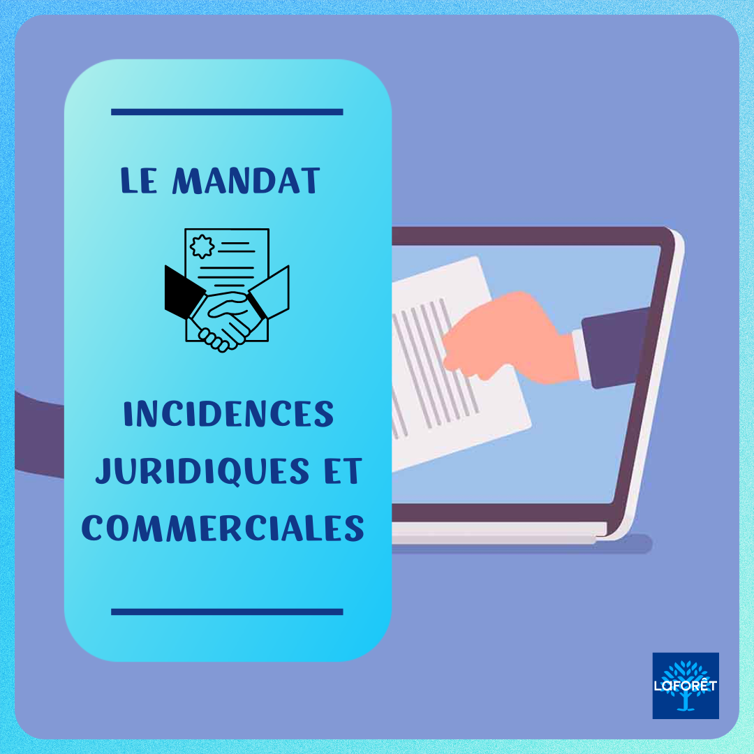 🏽 Le mandat et ses incidences juridiques et commerciales - Actualités ...