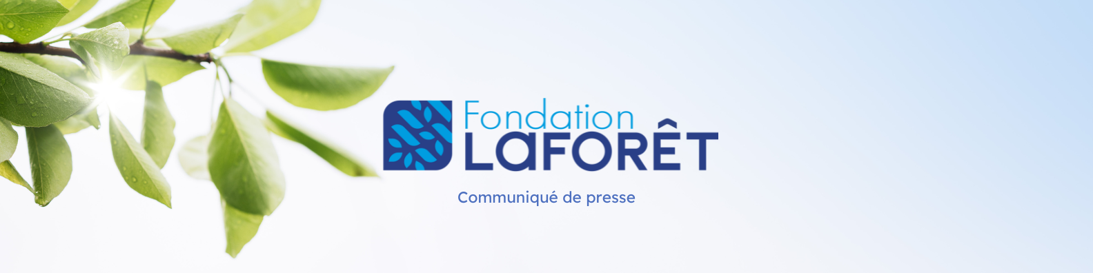 Communiqué de presse : Fondation Laforêt - Fondation Laforêt ⇔ Laforêt ...